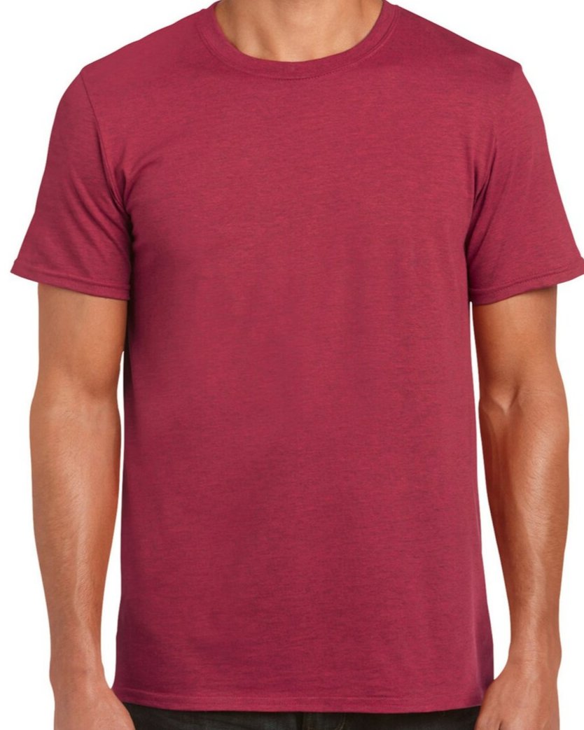 Gildan Softstyle 6400 – Lucky Wholesale